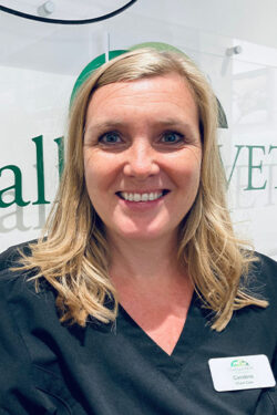 Meet The Team | ChalklandVets